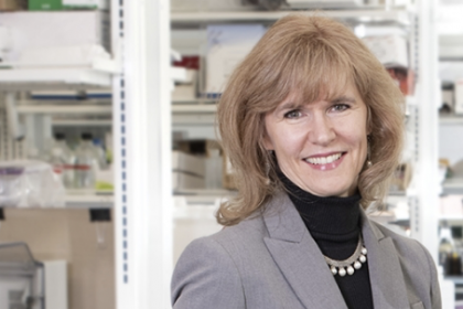 Professor Sonia Suter was published in The Hill for her opinion on the ...